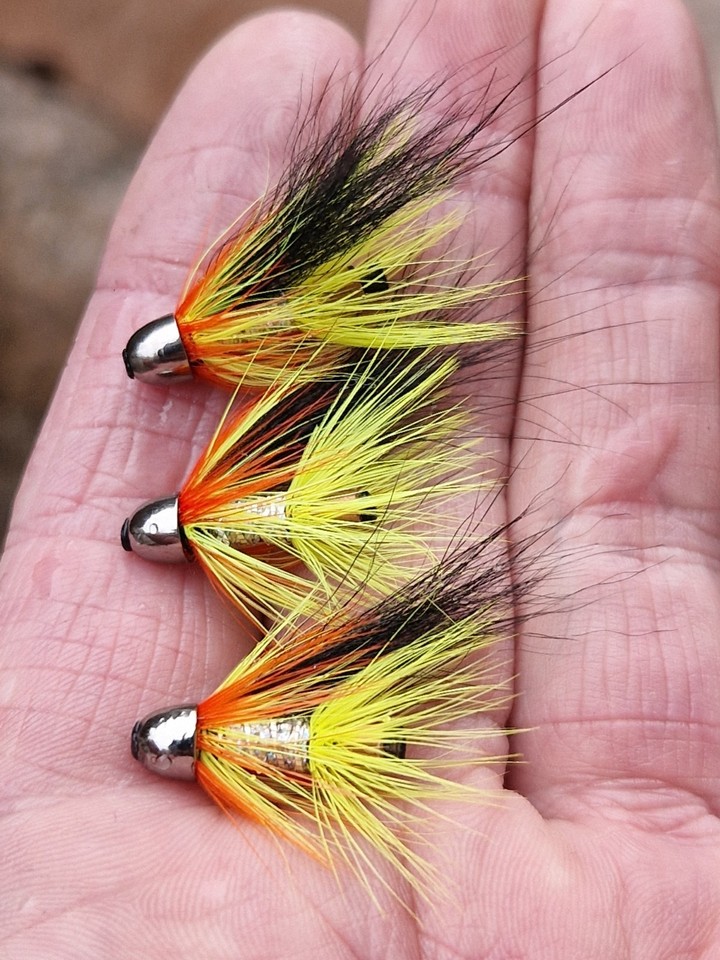 Salmon Flies 15 mm signature spring cascades x3 | eBay UK