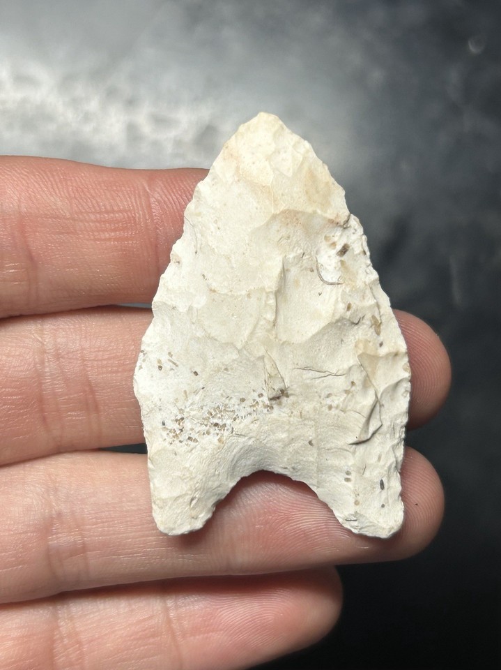 Dalton-Classic Projectile Point Native American Arrowhead SE Missouri ...