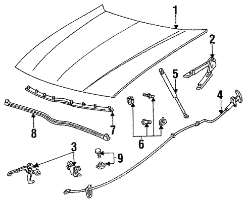NOS Mercury Sable Factory Original Hood F24Y16612A | eBay