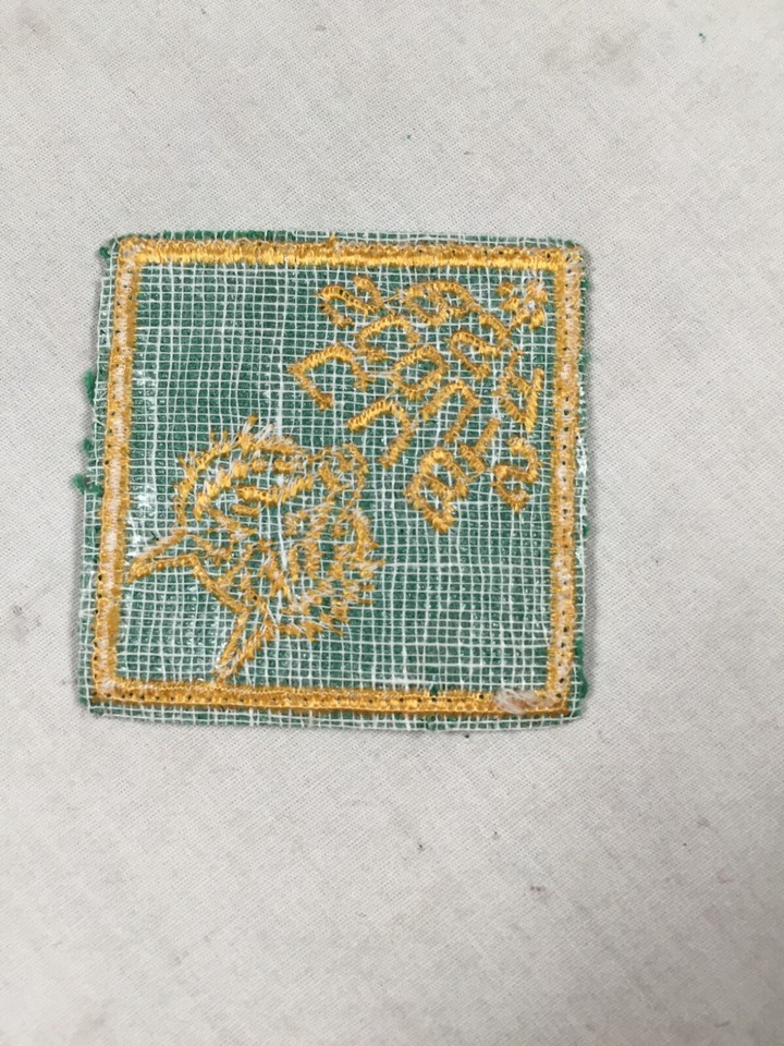 1950's Cub Scout Pack Assistant Cubmaster twill gauze worn BSA Rank ...