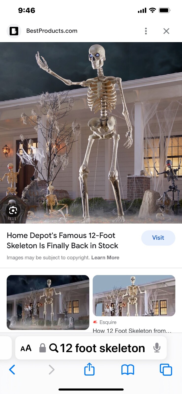12 FT Foot Giant Skeleton With Animated LCD Eyes Halloween Home Depot ...