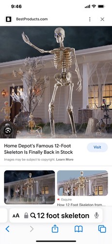 12 FT Foot Giant Skeleton With Animated LCD Eyes Halloween Home Depot ...