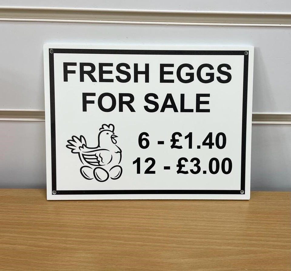 Custom Made Personalised Sign Plaque - Any size / colours / text / logo ...