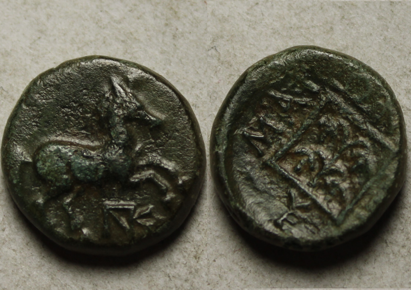 Rare genuine Ancient Greek coin Maroneia Thrace 400BC vine grapes Horse ...