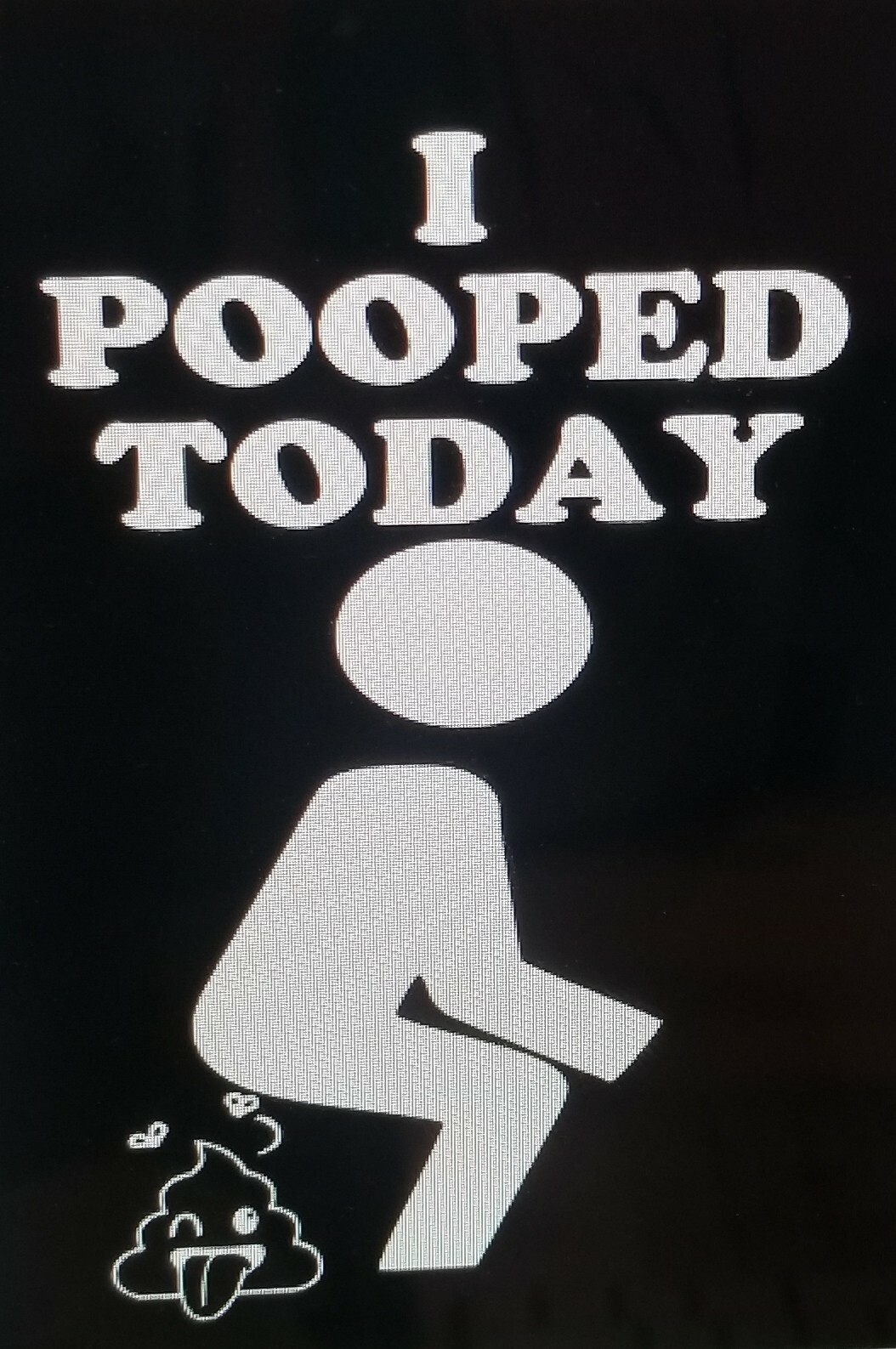Funny car window sticker truck decals bumper stickers I pooped today ...