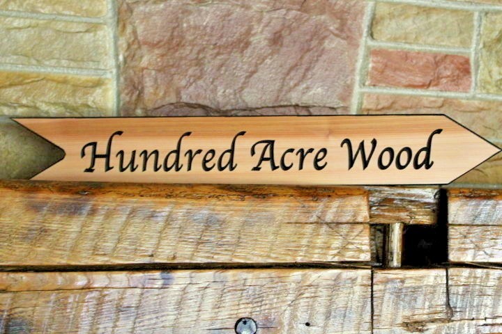 Fictional Fantasy Land Arrows, Literary Directional Signs, Kids Library ...