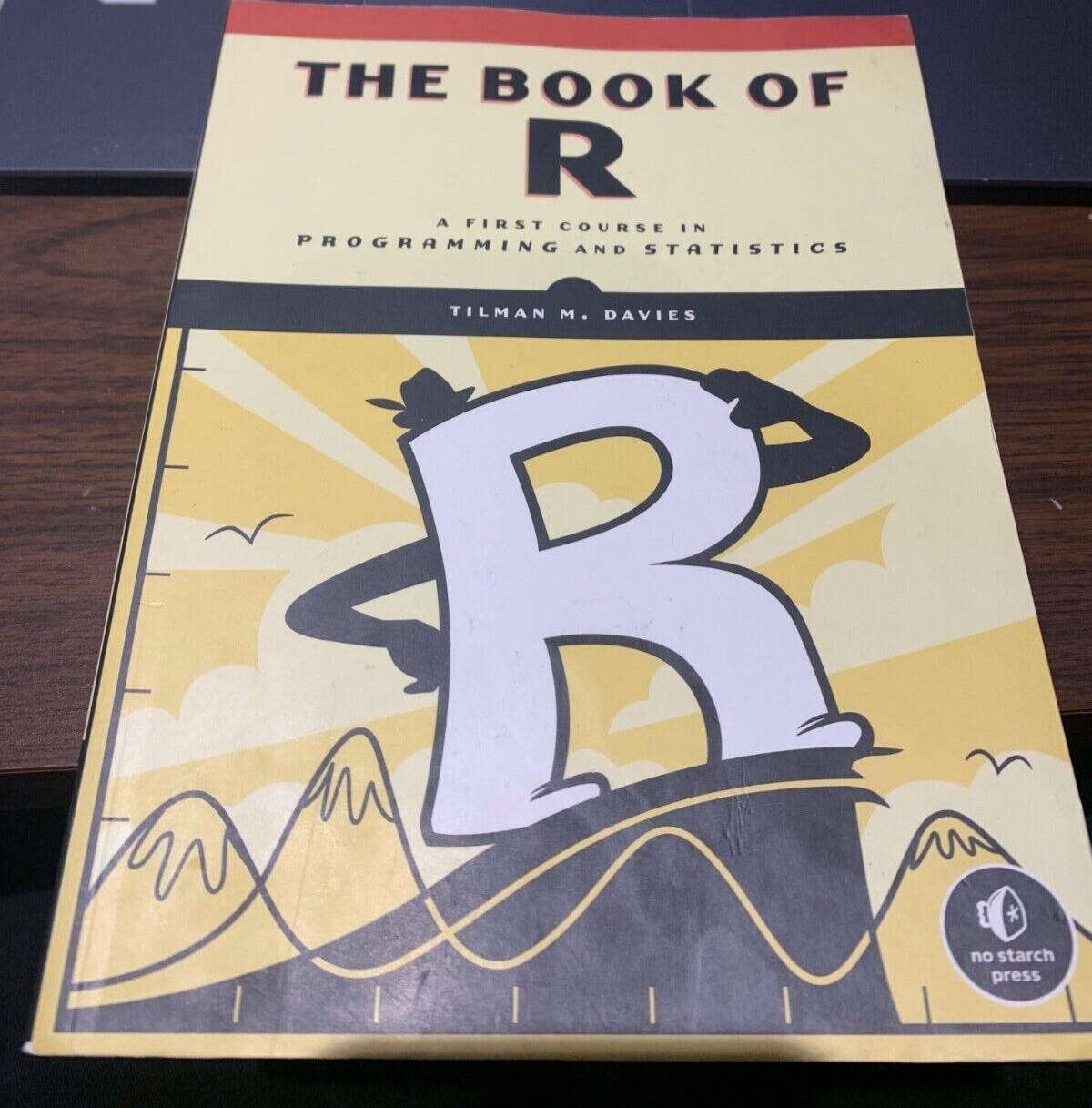"The Book of R" | eBay