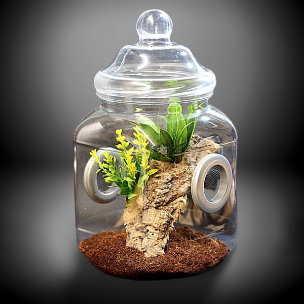 Spider Magnet Realistic Aazon.co : Juping Spider Accessories, Juping ...