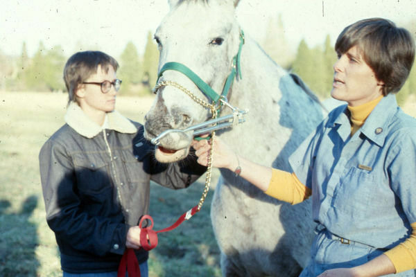 Equine Humane Twitch Easy To Use On Horse Pony Plaiting Vet Farrier | eBay