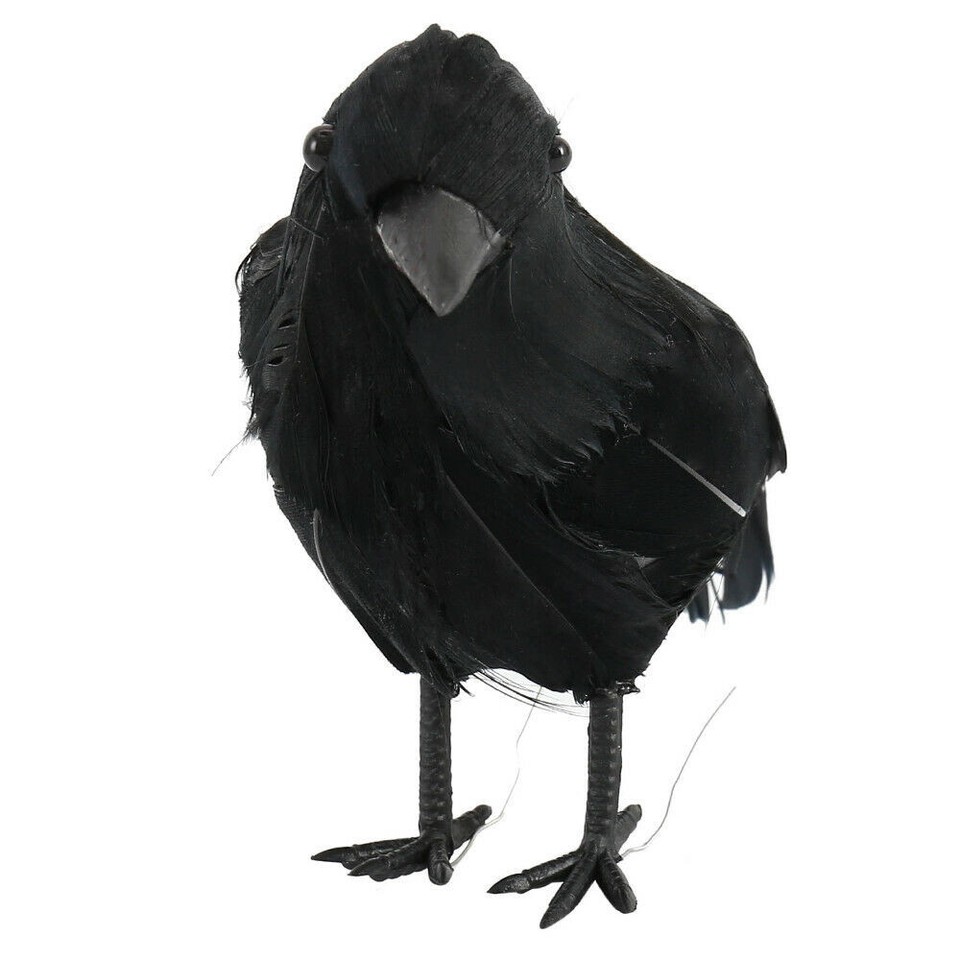 6PCS Halloween Crow Prop Realistic Raven Feathered Spooky Party Home ...
