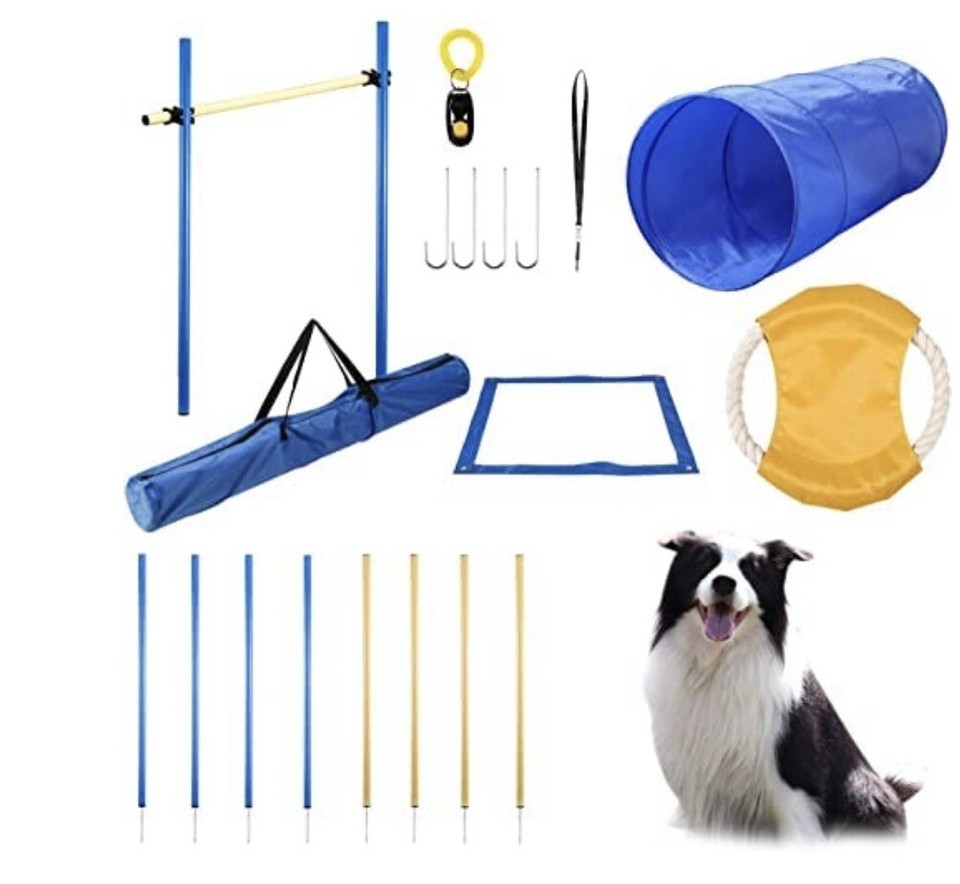 Yiotl Dog Agility Equipment Set, 30 Pcs Outdoor Dog Training Set ...