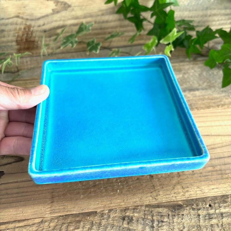 Turquoise Square Plate 14cm for Appetizers, Sushi, Gyoza, Modern Style ...