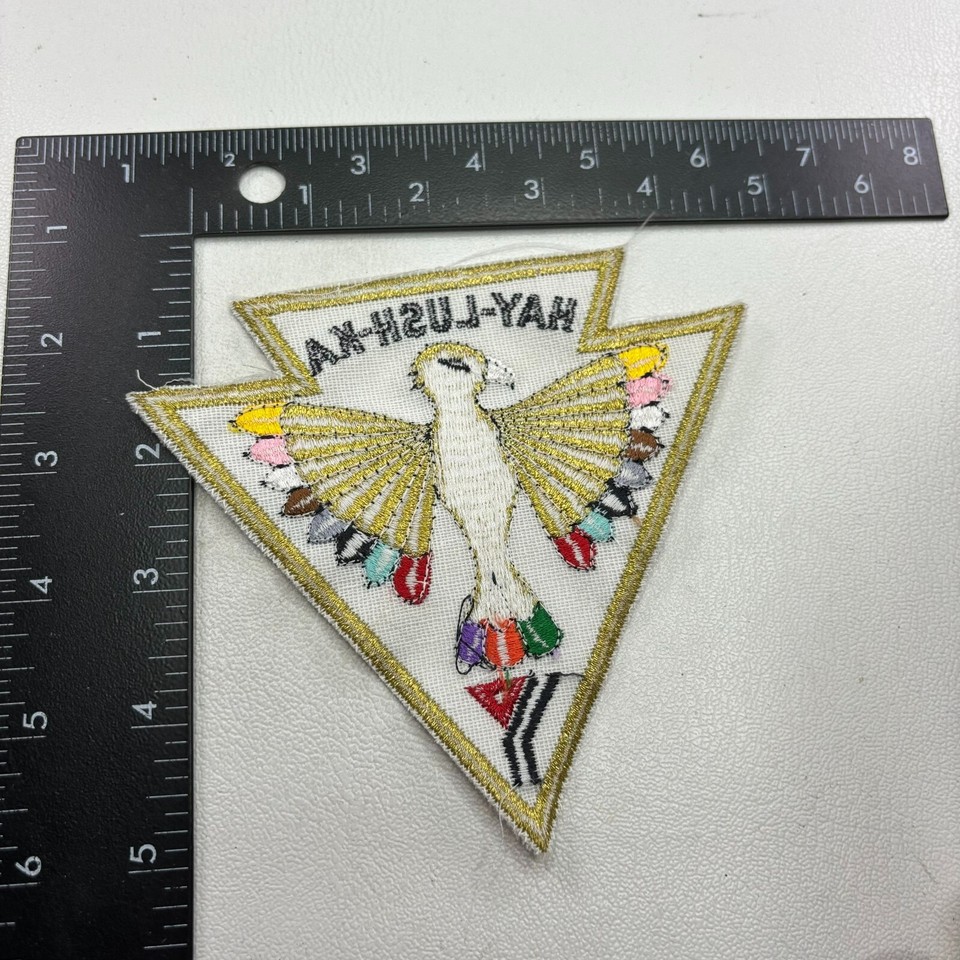 HAY-LUSH-KA YMCA Patch (Brave, Princess MIGHTY CROIX NATION) 43ZZ | eBay