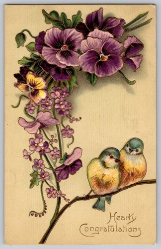 Vintage 1900s Hearty Congratulations violet flowers embossed birds ...