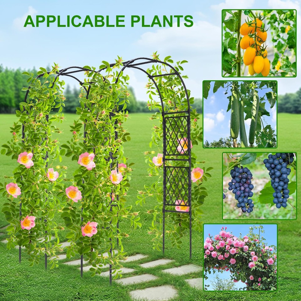 Garden Arch Arbor Trellis, 8ft Tall Outdoor Archway for Climbing Plants ...