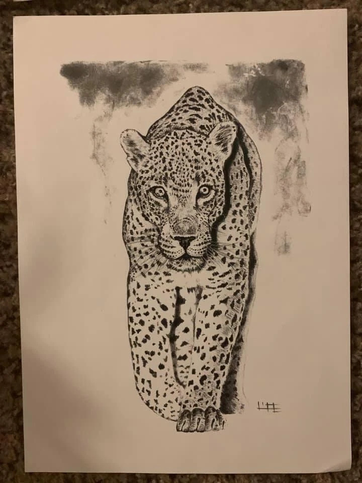 African Leopard Drawing