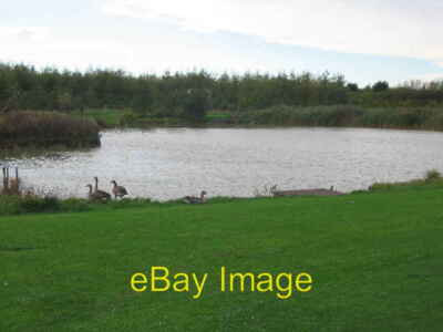 Photo 6x4 Far Grange Country Park Skipsea Brough Canada geese and ...