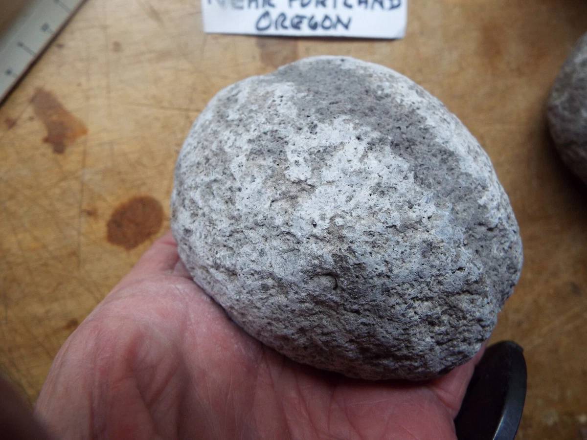 Round Indian Artifacts