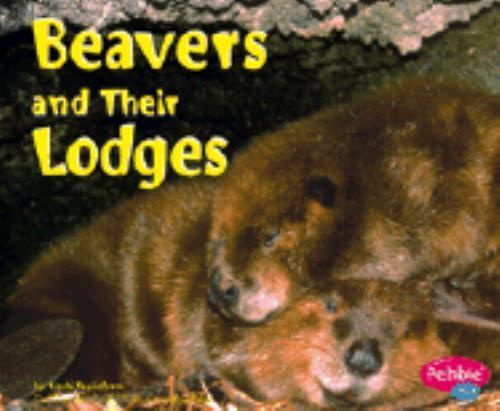 Beavers and Their Lodges by Martha E. H. Rustad (2004, Hardcover) for ...