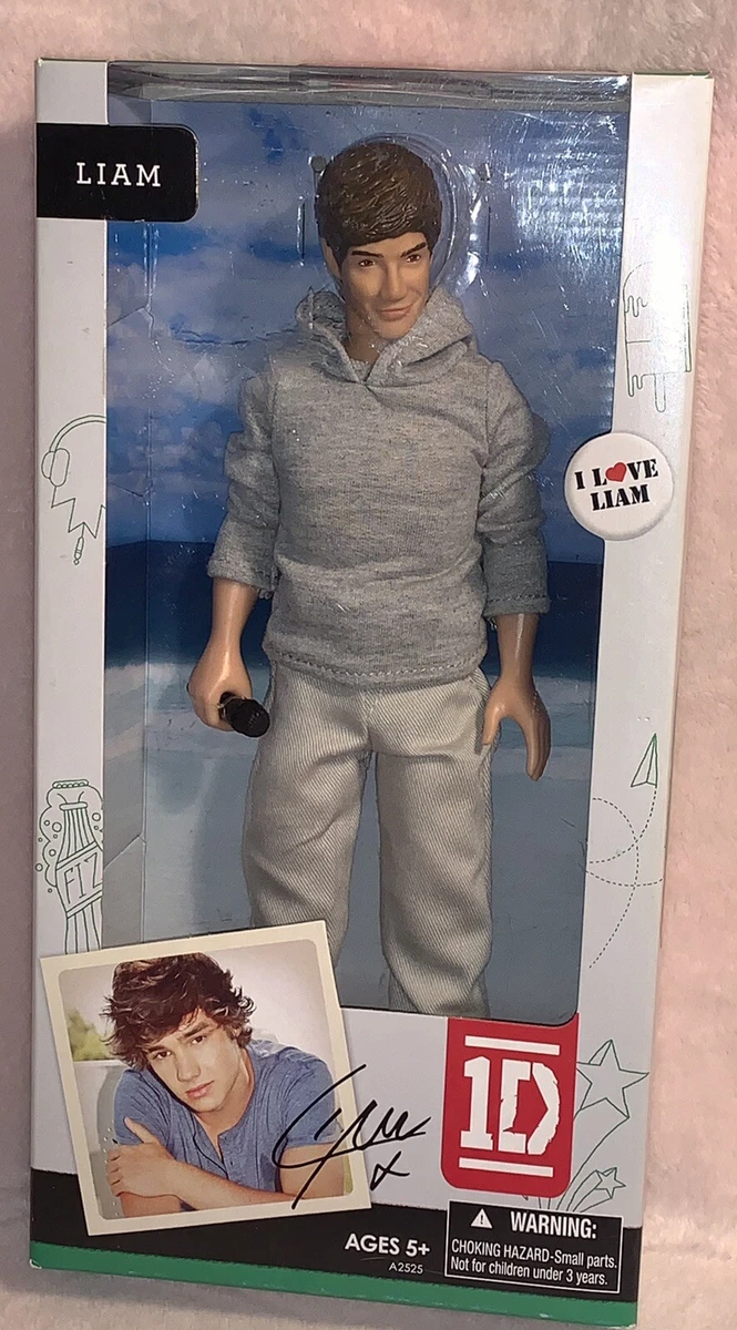One Direction Barbie Doll