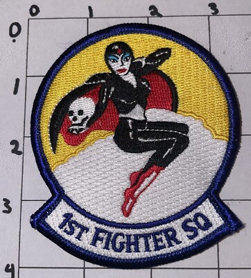 USAF 1st Fighter Squadron Tyndall AFB Florida Patch (15) | eBay