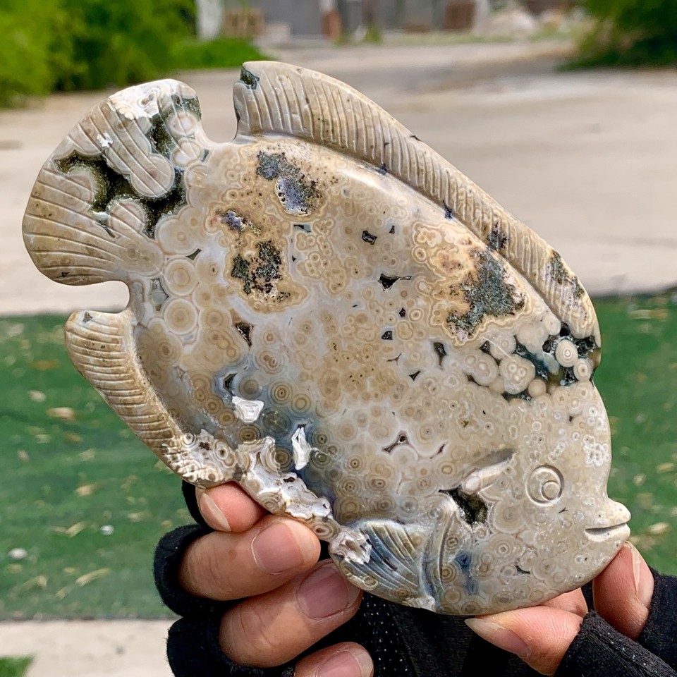 268GAmazing natural marine jasper crystal carving fish jasper aura ...
