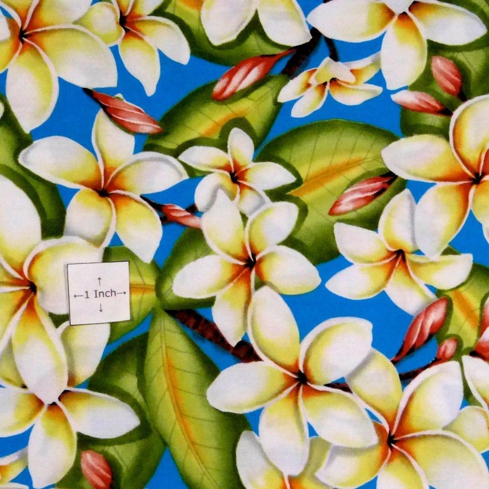 Hawaiian Print, Life-Sized Pua Melia (Plumeria Flowers) on Teal, bthy ...