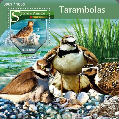 PLOVERS Wading Birds/Plover Bird MNH 1v-Stamp Sheet #1499 (2015 Sao ...