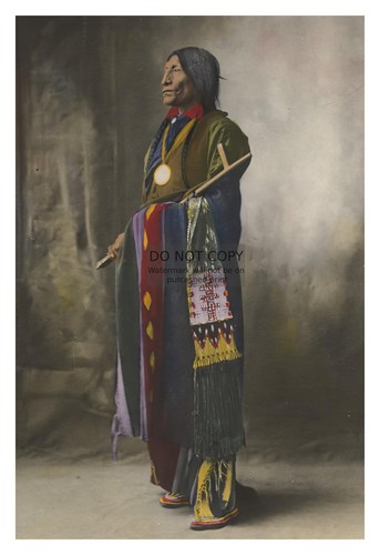 CHIEF WOLF ROBE CHEYENNE NATIVE AMERICAN HAND-TINTED 4X6 PHOTO | eBay