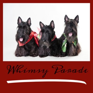 Whimsy Parade | eBay Stores