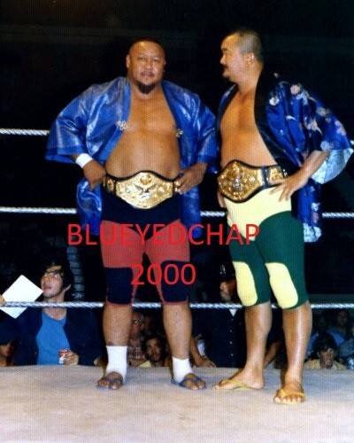 MR FUJI & PROFESSOR TANAKA WRESTLER 8 X 10 WRESTLING PHOTO WWWF | eBay