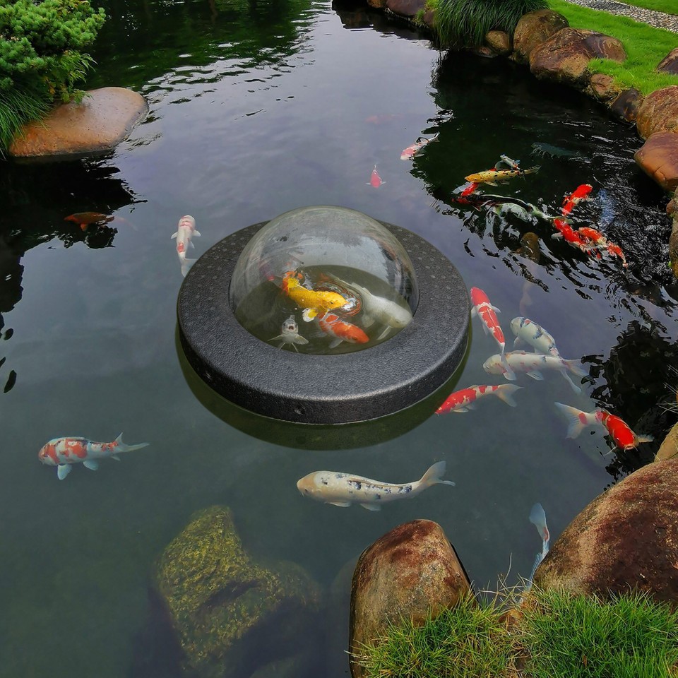 NEW Floating Pond Fish Dome Ball for Fish to Swim Above the Surface of ...