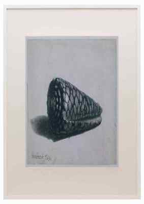 Rembrandt Cone Shell Conus Marmoreus A4 A3 Framed Print | eBay UK