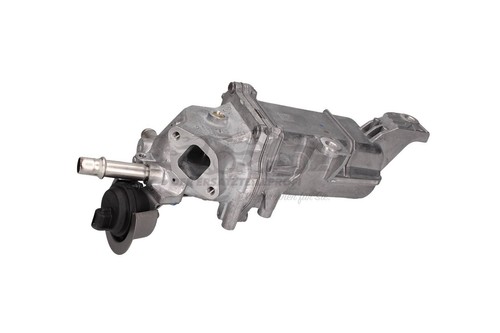 Genuine Renault AGR Valve Electric with Flue Cooler 147357086R | eBay