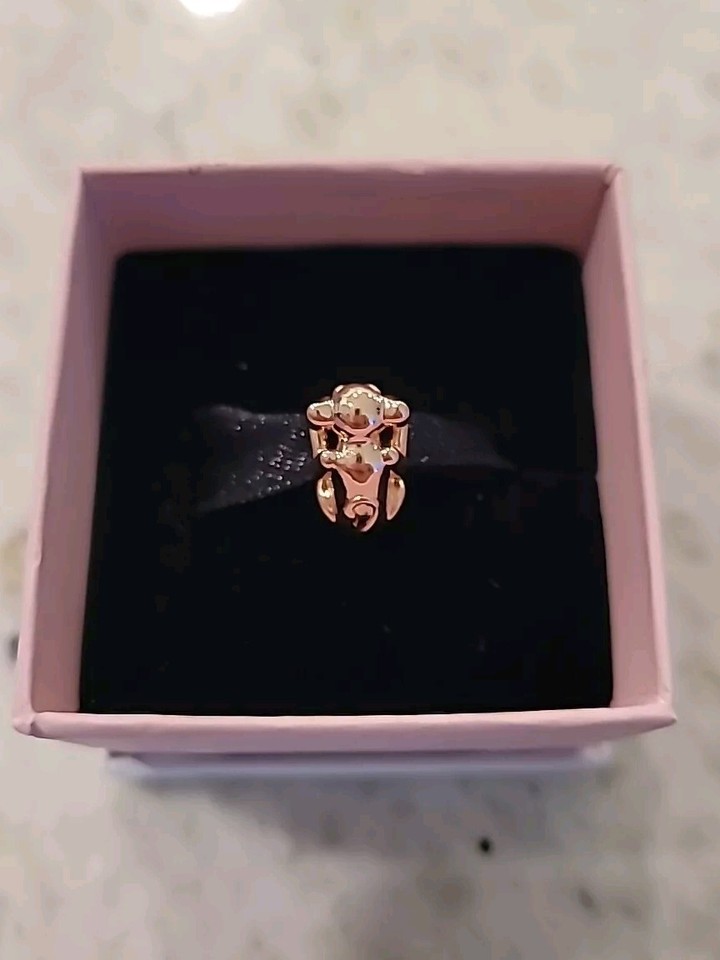 Authentic Pandora #783250C01 Disney The Lion King Nala Charm | eBay