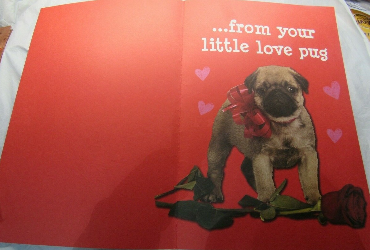 Valentine Pug Calendar • New Date: Puppy Love Valentine's Party