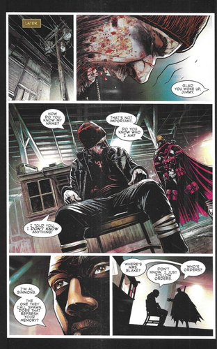 King Spawn Comic 31 First Print Von Randal Cover B Variant 2024 Todd ...