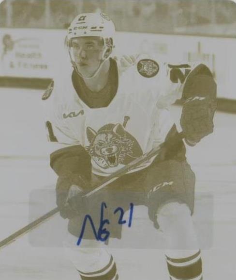 2022-23 Upper Deck AHL - Star Rookies Noel Gunler #148 Printing Plate ...