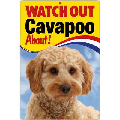 Cavapoo Watch Out Cavapoo About sign Cavapoos Dog security sign Dogs ...
