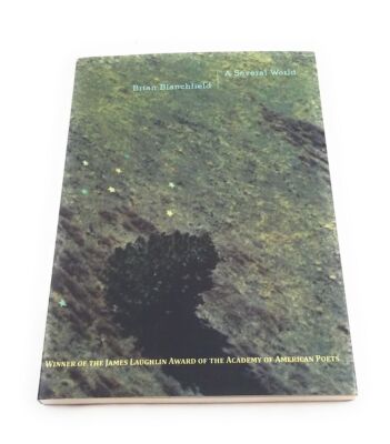 A Several World; Brian Blanchfield; Poetry; Quality Packaging Materials ...