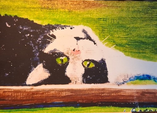 Cat Art Ltd Edition Print 4x6 Black and White Kitty Upside Down by ...