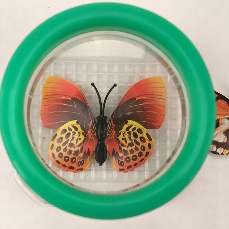 Insect Catching for Kids Learning Toys Observation Children Magnifier ...