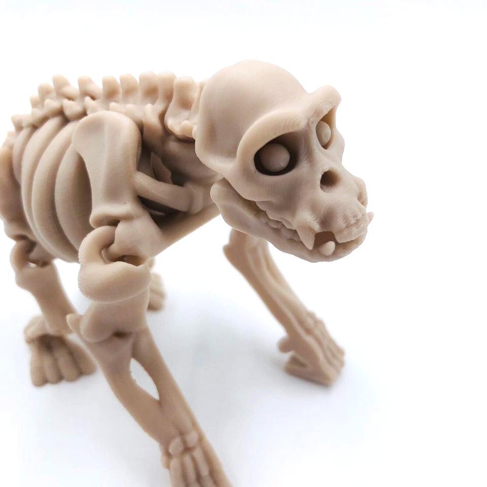 3D Printed Skeleton Chimpanzee Bone Animal Display Toy Articulated ...