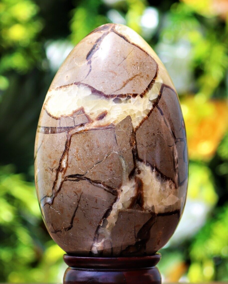 135MM Yellow Septarian Egg Septaria Septeyre Chakra Crystal Healing ...