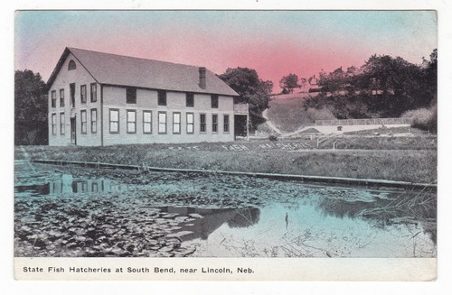 c1910 SOUTH BEND NEBRASKA STATE FISH HATCHERIE BUILDING POND VINTAGE ...