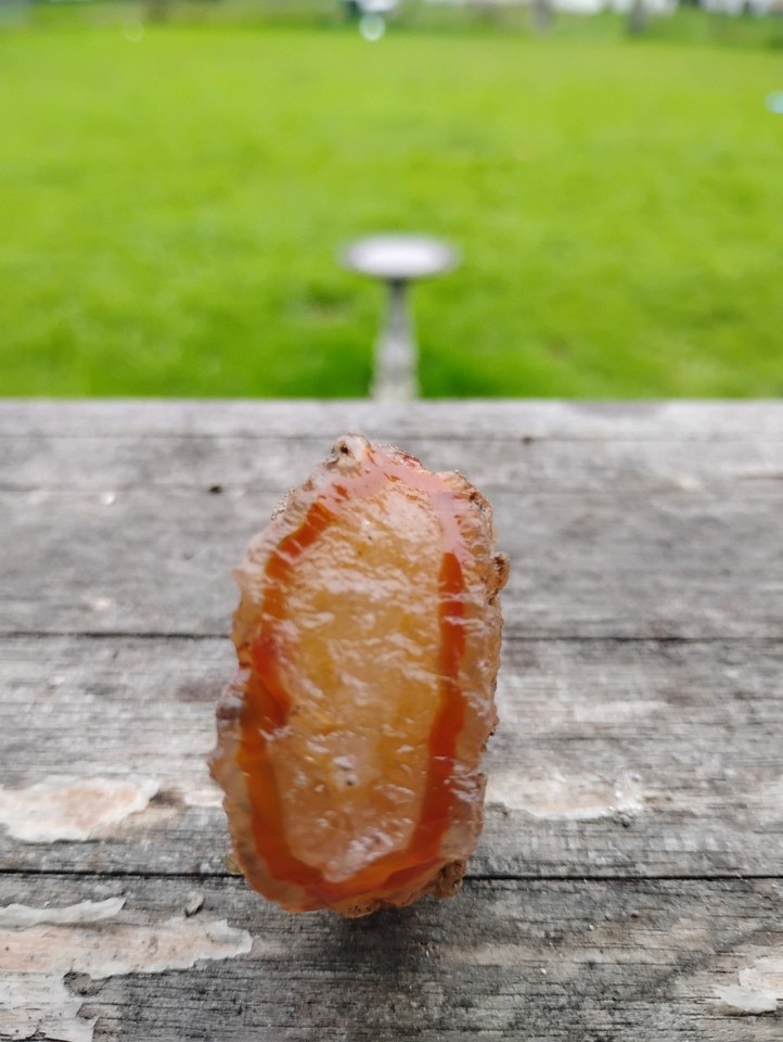 Orange Banded Agate With Druzy Hand Dug In Southern Oregon | eBay