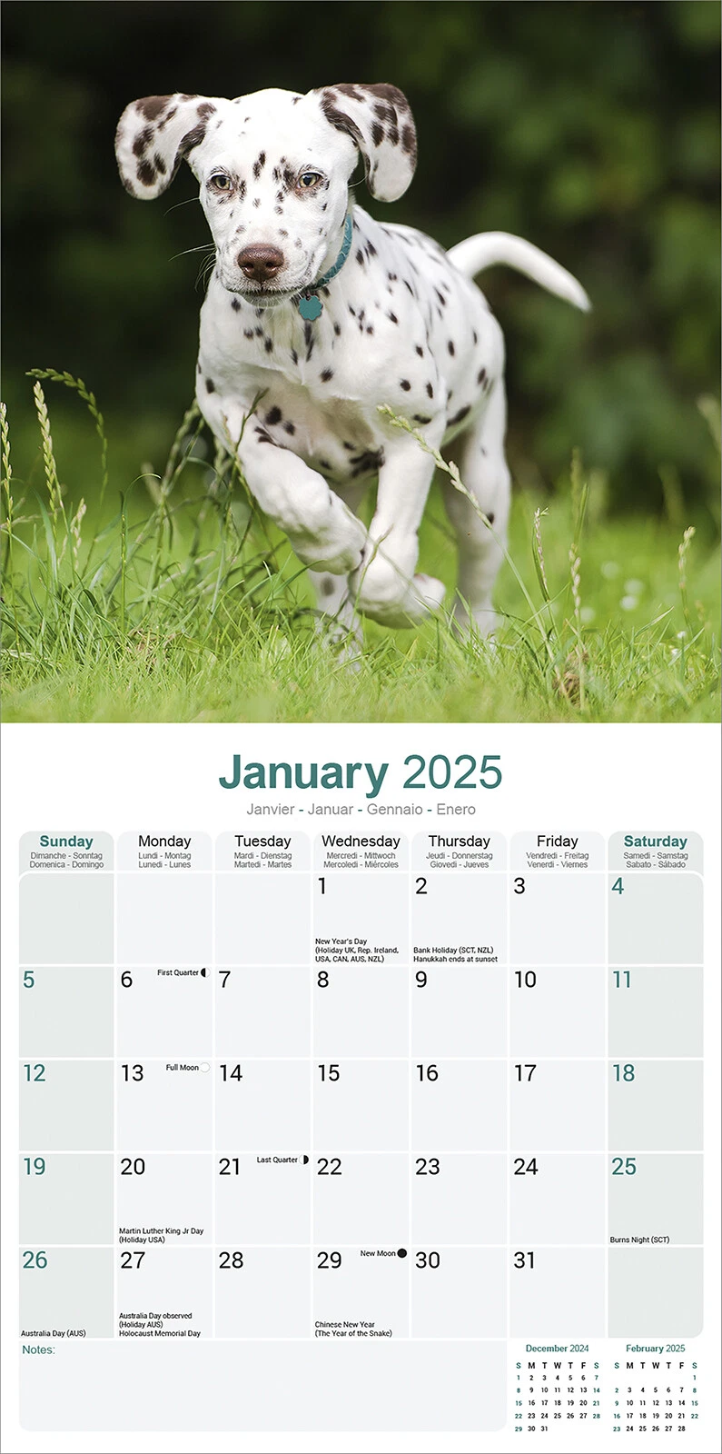 Dalmatian Calendar 2025 Dog Breed Gift Wall Calendar 15% OFF MULTI ...