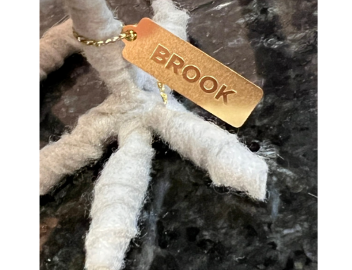 Rare! BROOK Bird Hatched 2023 REUNION Target Winter Christmas ...