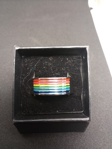 Pride LGBTQ Ring Stainless Steel And Enamel Rainbow Size 12 | eBay