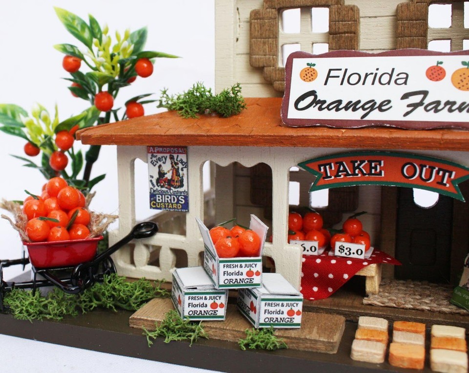 Billy Handmade Doll House Kit Woody House Collection Orange Farm 8813 ...